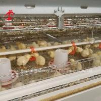 China 96 Birds A Type 1-12 Weeks Chick Brooder Cage In Chicken Farm Doris for sale
