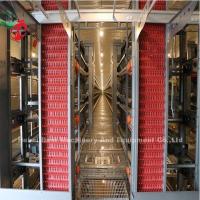 China Fully Automatic 100 Chickens Poultry Battery Cage System H Type Hot Galvanized Adela for sale