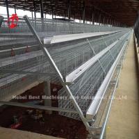 China Ladder Type Chicken 2.4mm Automatic Battery Cage System In Poultry Emily for sale