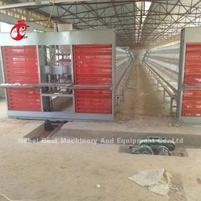 China Ladder Type Chicken 2.4mm Automatic Battery Cage System In Poultry Emily for sale