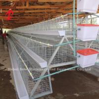 China 120 Birds 200 Birds Capacity Poultry Battery Cage System For Layers Broilers Chicks Star for sale
