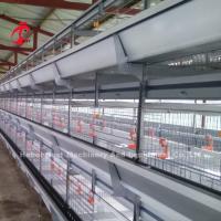 China Automatic Layer Poultry Cage Chicken Farming Prefab House Complete Solutions Rose for sale
