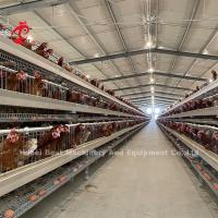 China Semi Automatic 3.5mm Layer Battery Cage System Poultry Farming Equipment Ada for sale