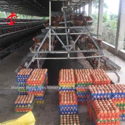 China Semi Automatic 3.5mm Layer Battery Cage System Poultry Farming Equipment Ada for sale