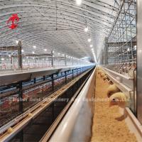 China Commercial Broiler Chicken Poultry Meat Battery Cage System Ada for sale