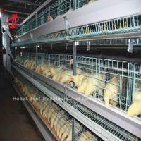 China Intelligent Poultry Battery Cage System Semi Automatic And Automatic For Broilers Iris for sale