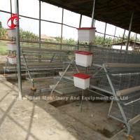 China H Type Layer Battery Cage System With Poultry Equipment For 5000-20000 Birds Farm Iris for sale