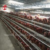 China 5 Tiers 450cm2 Galvanized Layer Battery Cage System Egg Laying Hens Emily for sale