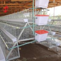 China Deluxe 120 Birds Poultry Battery Cage System 5 Cells Galvanized Doris for sale
