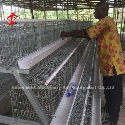 China Deluxe 120 Birds Poultry Battery Cage System 5 Cells Galvanized Doris for sale