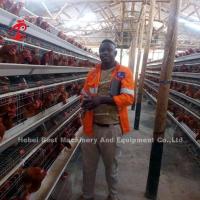 China Chicken Farm 3 Tier Battery Cage System In Poultry Sandy for sale