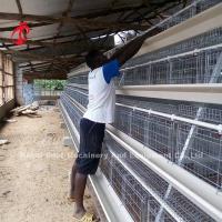 China Chicken Farm 3 Tier Battery Cage System In Poultry Sandy for sale