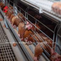 China Fully Automatic 4 Tier Battery Cage System 160 Capacity For Chicken Poultry Farm Doris for sale