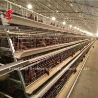 China Fully Automatic 4 Tier Battery Cage System 160 Capacity For Chicken Poultry Farm Doris for sale