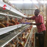 China Fully Automatic 4 Tier Battery Cage System 160 Capacity For Chicken Poultry Farm Doris for sale