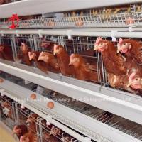 China 120 Birds Poultry Battery Cage Hot Galvanized With 4 Doors Use In 10000 Birds Farm Mia for sale