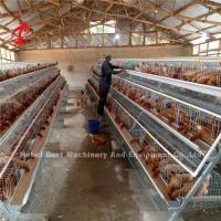 China Automatic Drinker Feeder Poultry Chicken Cages 10000 Egg Layer Ada for sale