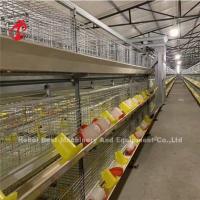 China H Type 4 Tiers Poultry Farming Broiler Cage System With Manure Belt Ada for sale