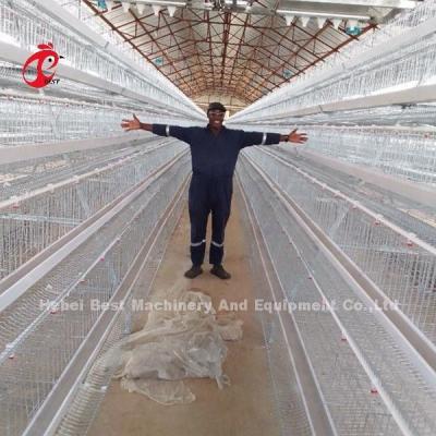 China 5 Tier 200 Birds Galvanized Poultry Layer Cage System For Chicken Farm Sandy for sale