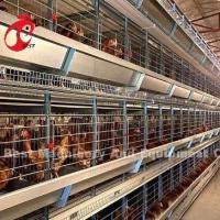 China A Or H Type Automatic Chicken Cage Equipment Of Feeding Hopper Egg Collection System For 35,000 Birds Doris for sale