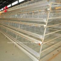China 2.8mm-3.5mm Cage Wire Diameter Poultry Farming Cage System for High Rearing Efficiency Adela for sale