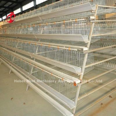 China 2.8mm-3.5mm Cage Wire Diameter Poultry Farming Cage System for High Rearing Efficiency Adela for sale