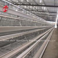 China Stainless Steel Wire Battery Cage For Chicken 432cm2 Area Bird Adela for sale