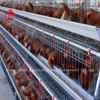 China 450cm2 H Type Automatic Chicken Battery Cage System With Feeder Adela for sale