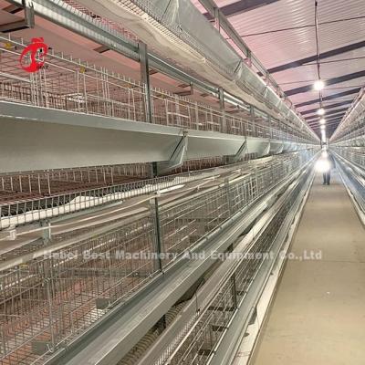 China Stainless Steel Wire Battery Cage For Chicken 432cm2 Area Bird Adela for sale