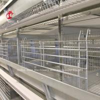 China 2.2m Layer Battery Cage System For Capacity 120-200 Chickens Adela for sale