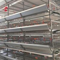 China 4 Tiers Chicken Cage Full-automatic Equipment Customized Solutions Available Adela for sale