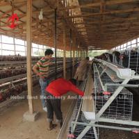 China 3 Or 4 Tiers Poultry Chicken Layer Cage A Type Q 235 Steel Wire Star for sale