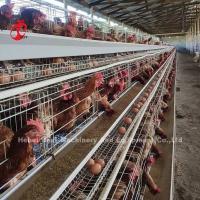 China Anti Rust Poultry Layer Cage For Egg Laying Hens With 25 Years Lifespan Emily for sale