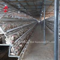 China Galvanized A Type Chicken Farming Cage System 20 Years Lifespan Doris for sale