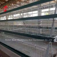 China Galvanized A Type Chicken Farming Cage System 20 Years Lifespan Doris for sale