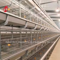 China Automatic Poultry Egg Chicken Battery Laying Cage A Type Rose for sale