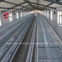 China 20000 Birds Chicken Farming Cage System Used In Birds Laying Mia for sale