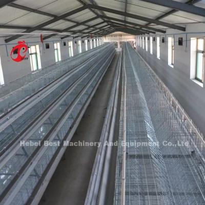 China 20000 Birds Chicken Farming Cage System Used In Birds Laying Mia for sale