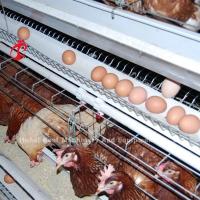 China 20000 Birds Chicken Farming Cage System Used In Birds Laying Mia for sale