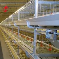 China 96 Birds / 128 Birds Broiler Cage System A Type Or H Type In African Market Iris for sale