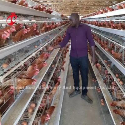 China 3 Tier 4 Tier 5 Tier Chicken Layer Battery Cage Modern Iris for sale