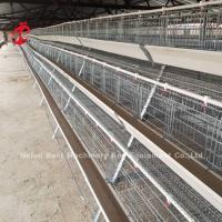 China 3 Tier 4 Tier 5 Tier Chicken Layer Battery Cage Modern Iris for sale