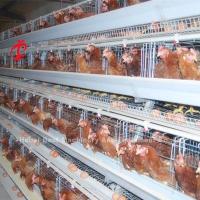China Galvanized Layer Chicken Cage System A Type H Type Mia for sale