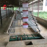 China 2.2m Layer Battery Cage System For Capacity 120-200 Chickens Adela for sale