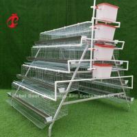 China Hot dip Galvanized Poultry Battery Cage System For Layer Farm Sandy for sale