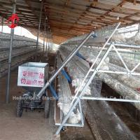 China Q235 Wire Galvanized A Type Battery Cage For Layers Chicken Emily for sale