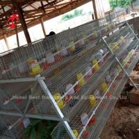 China Hot Galvanized Baby Chicken Battery Cage For Sale In Nigeria Office Iris for sale