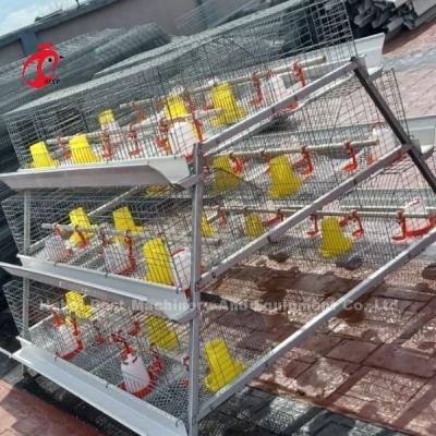 China Hot Galvanized Baby Chicken Battery Cage For Sale In Nigeria Office Iris for sale