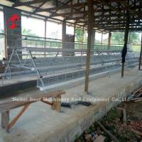 China A Or H Type 3 Or 4 Tier Chicken Battery Cage For Poultry Chicken Farm Doris for sale