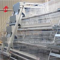 China Bird Friendly Galvanized Steel Cage System For Layer Farming Rose for sale